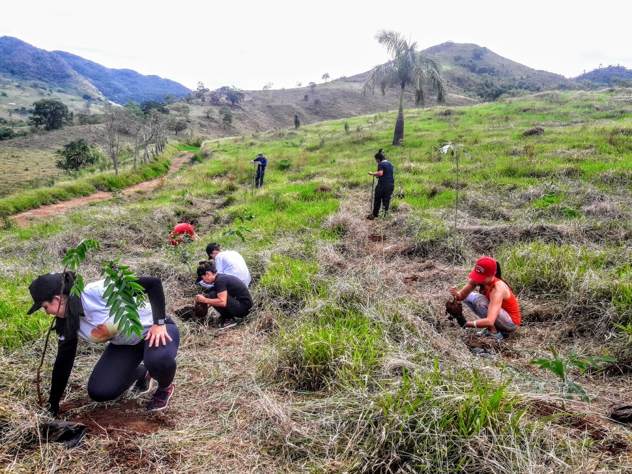 A Dynamic Dharma Initiative in Brazil - Khyentse Foundation